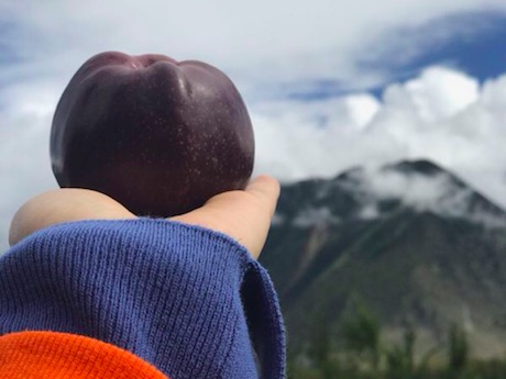 Epal Diamond Hitam Sangat 'Rare', Mungkin Ini Kali Pertama Anda Dengar