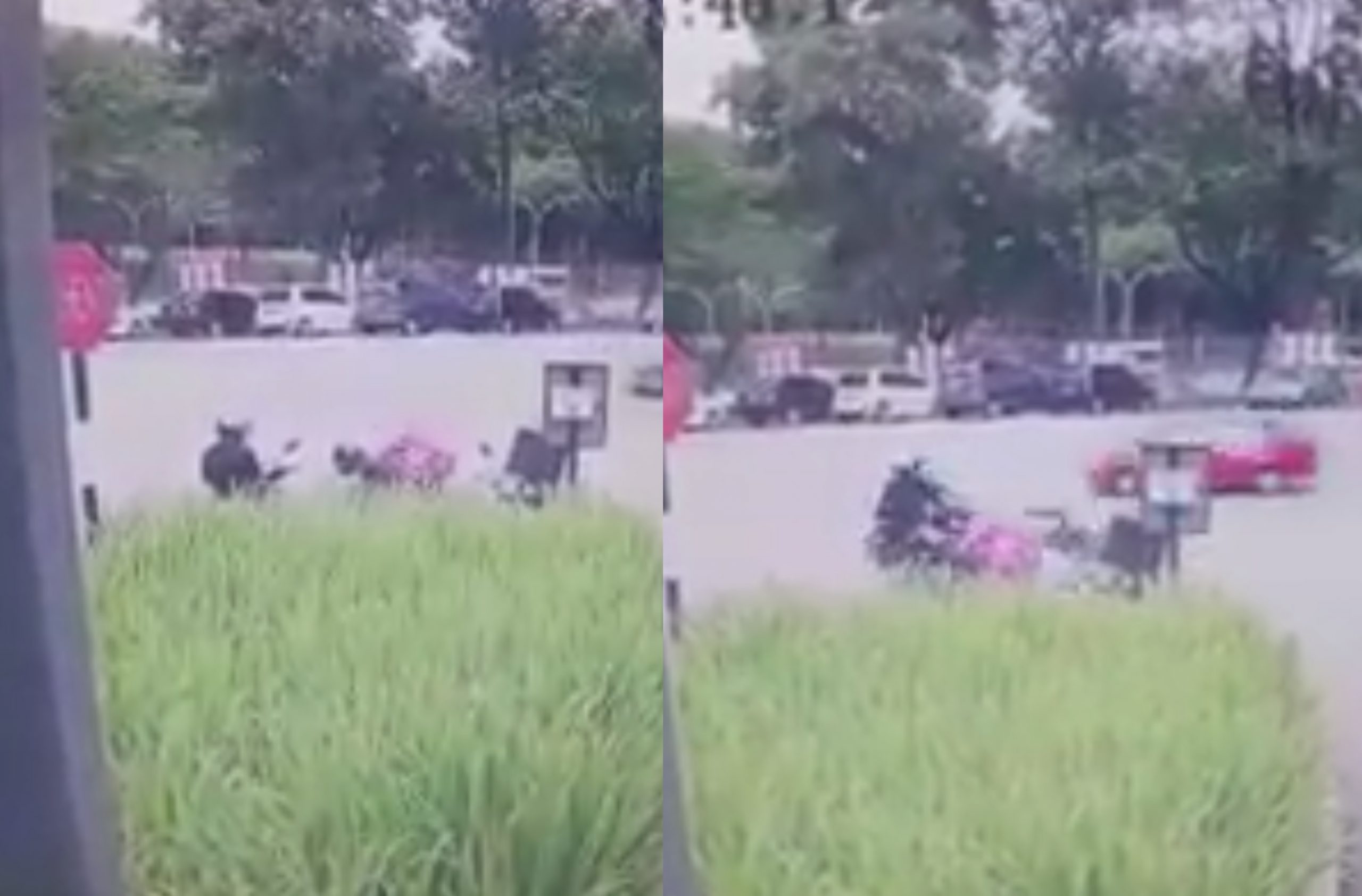 (Video) Sampai Tersungkur Ke Jalan, CCTV Rakam Wanita Jadi Mangsa Dua ...