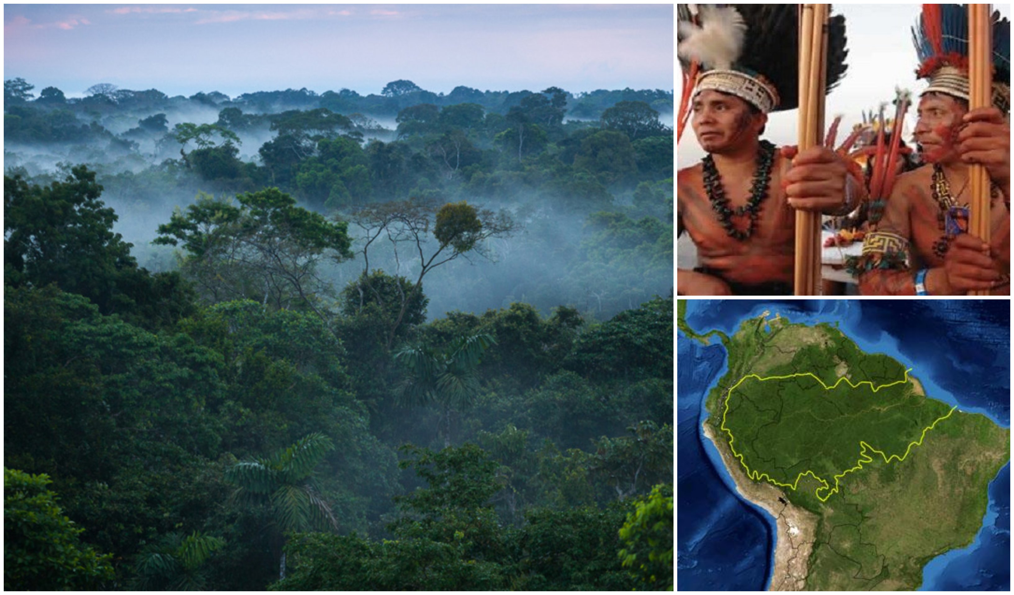 Sedang 'Nazak', Ini 7 Fakta Menarik Kenapa Hutan Hujan Amazon Amat Penting Kepada Manusia