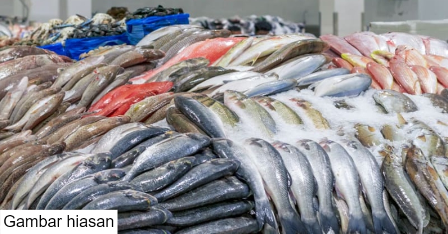 Perkenal Jualan Ikan Terus Ke Pintu Rumah Di Seluruh Negara Sepanjang ...