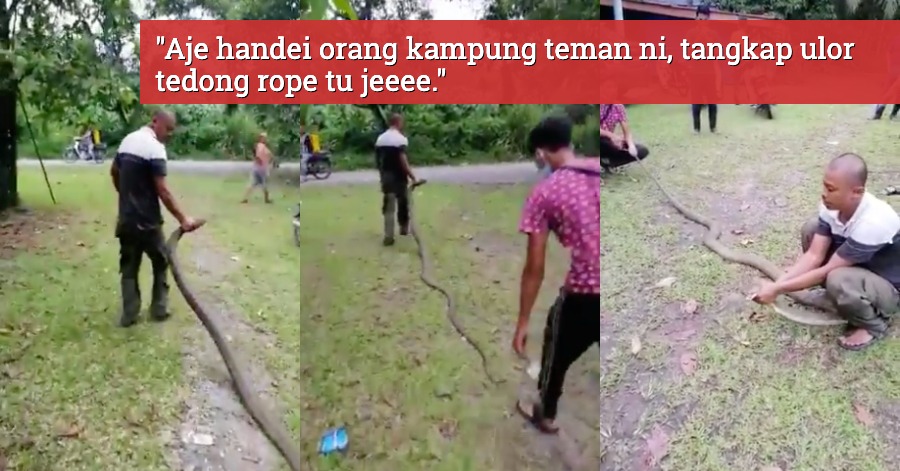 Macam Tangkap Kucing, Tular Video Hero Kampung 'Selamber' Tangkap Ular ...