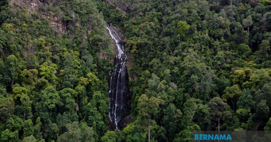 Jalan Tikus Dan Hutan Tebal Cabaran ESSCOM Tangani Isu Pendatang Haram ...