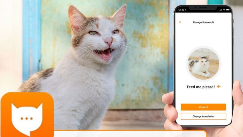 Jurutera Cipta Aplikasi Khas MeowTalk Untuk Terjemahkan Bunyi Meow Kucing