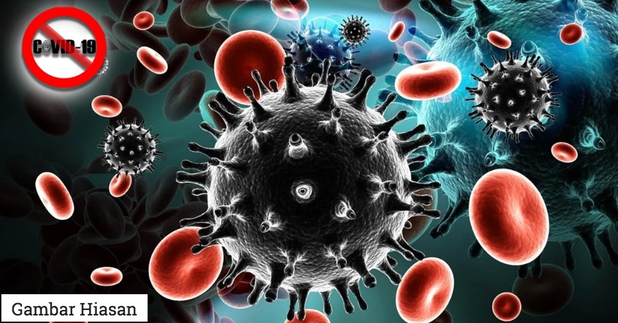 Terapi Antiretroviral (ART) Boleh Membantu Penghidap HIV Hidup Lebih ...