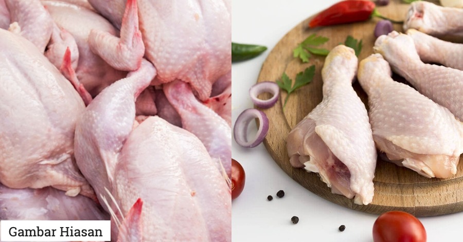 Macam Mana Nak Pilih Ayam Segar? Mungkin Ramai Tak Tahu, Ikuti 4 Tips ...