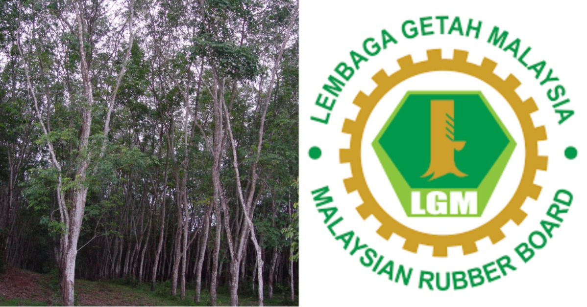 Makluman Pengaktifan Insentif Pengeluaran Getah (IPG) Kepada Pekebun Kecil Sabah Dan Sarawak