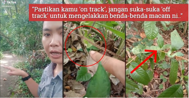 (Video)”Susahkan Nak Nampak Dia,” Renjer Hutan Dedah Kenapa ‘Wajib ...