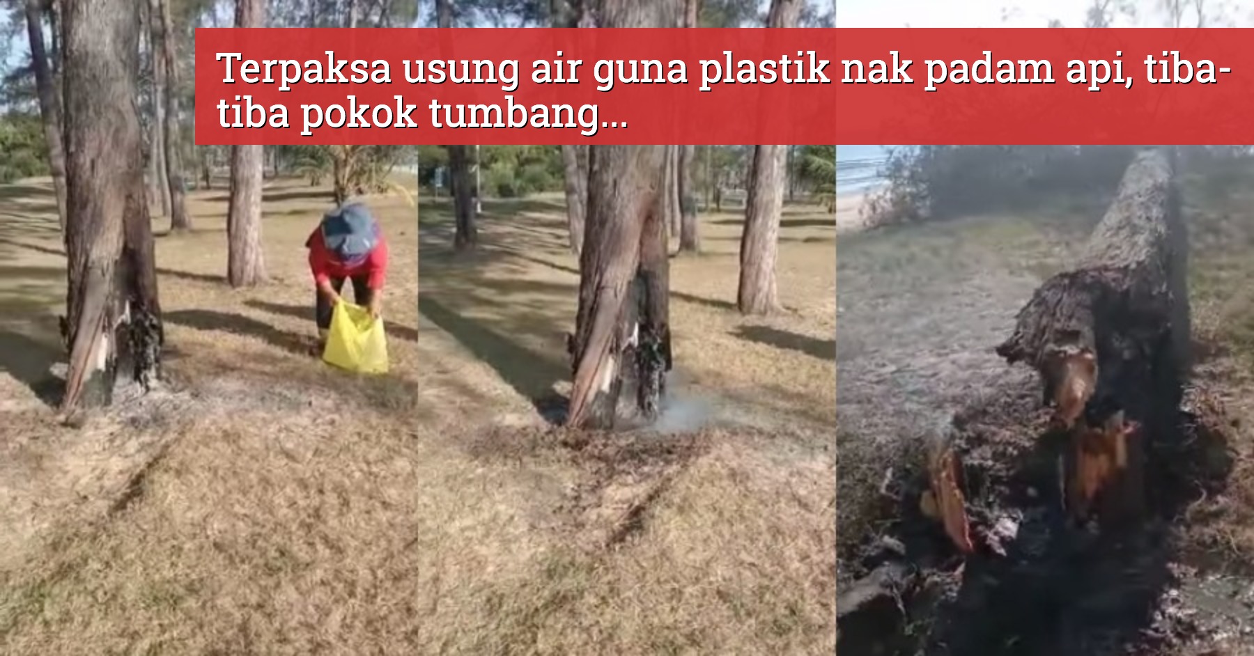(Video) Akak “Cleaner” Nyaris Kena Hempap Pokok Terbakar Tiba-tiba ...