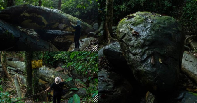 (Foto) Seakan Ular Gergasi Bertukar Jadi Batu, Cerita Tentang 'Batu ...