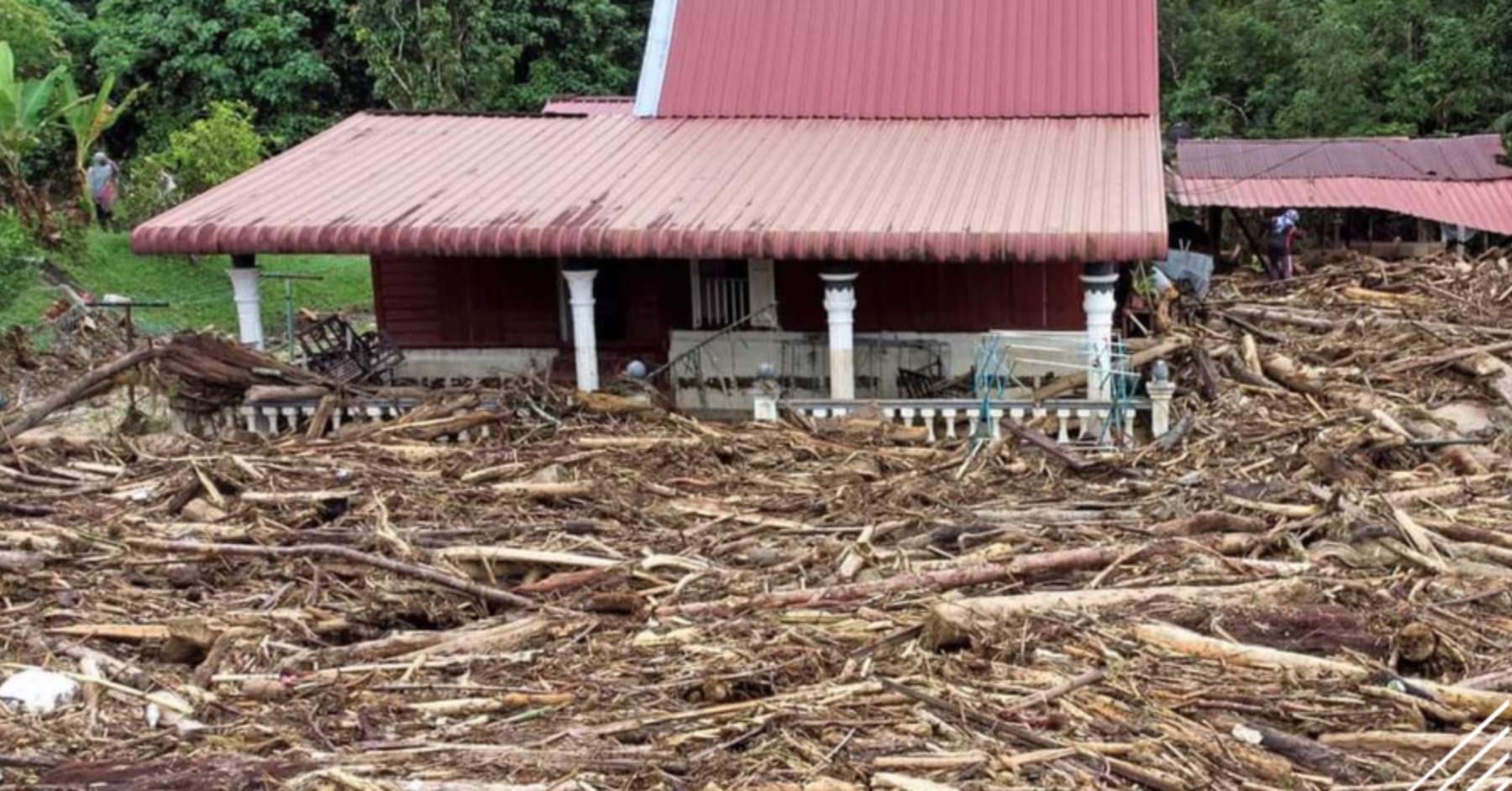 Laman Rumah Dipenuhi Timbunan Kayu, Pokok Besar Tumbang Akibat Banjir