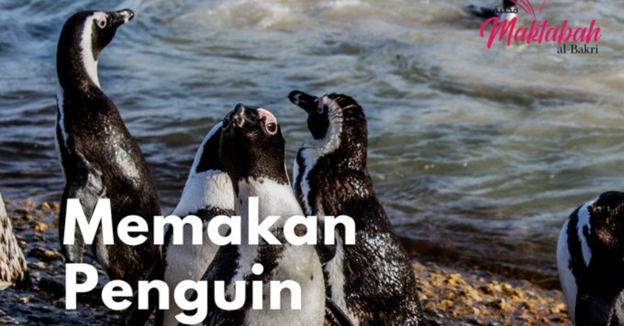 Ditanya Hukum Makan Daging Penguin, Dr Zulkifli Berpendapat “Daging ...
