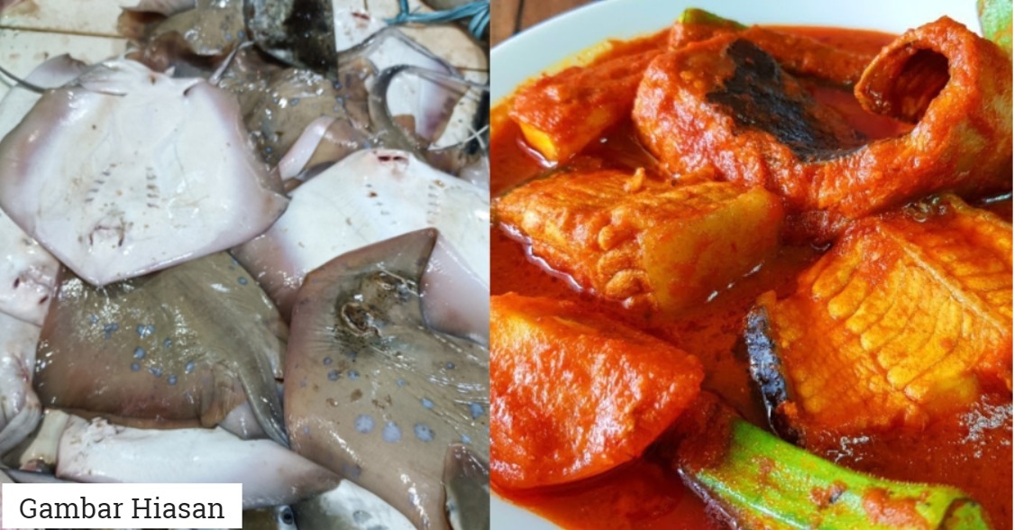 Kadang Hilang Selera Nak Makan, Kenapa Ikan Pari Berbau Hancing? Ini ...