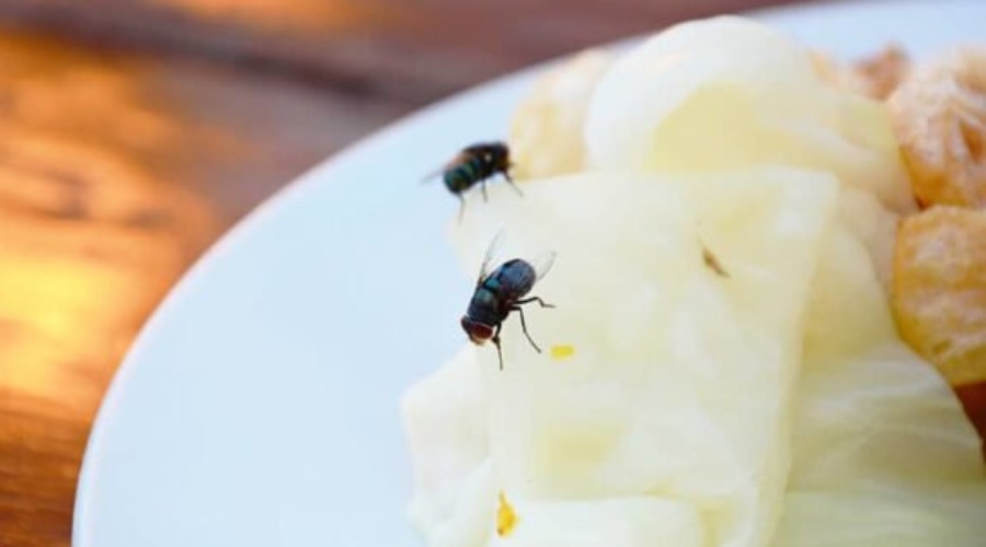 5 Punca Makanan Basi Dengan Lebih Cepat, No. 3 Itu Selalu Orang Kita Buat