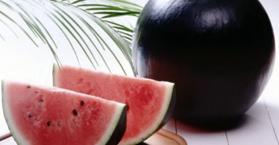 Tembikai Termahal Di Dunia, Cecah Hingga RM25,000 Sebiji