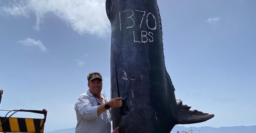 Ikan Marlin Biru 621kg & Kedua Terbesar Berjaya Ditangkap Di Lautan ...