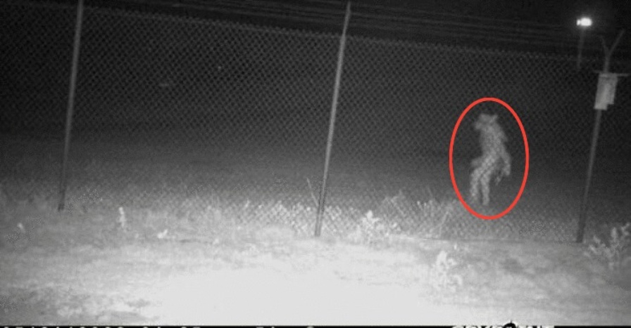 Kelibat Makhluk 'Pelik' Persis Manusia Dirakam CCTV, Pihak Berkuasa ...