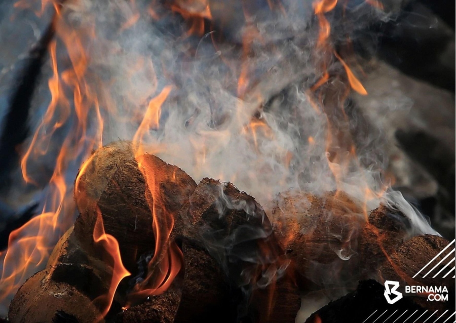 Manfaat Tempurung Kelapa Jadikan Arang, Jana Pendapatan