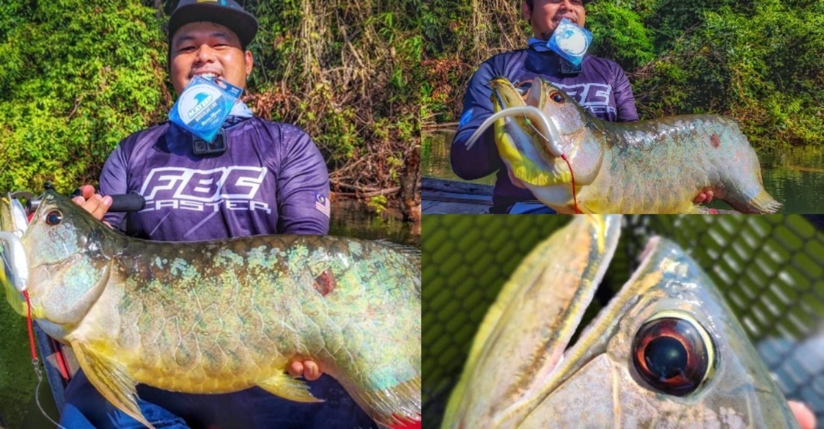 "Niat Nak Pancing Toman..," Lelaki Teruja, Berjaya Pancing Ikan Legenda ...
