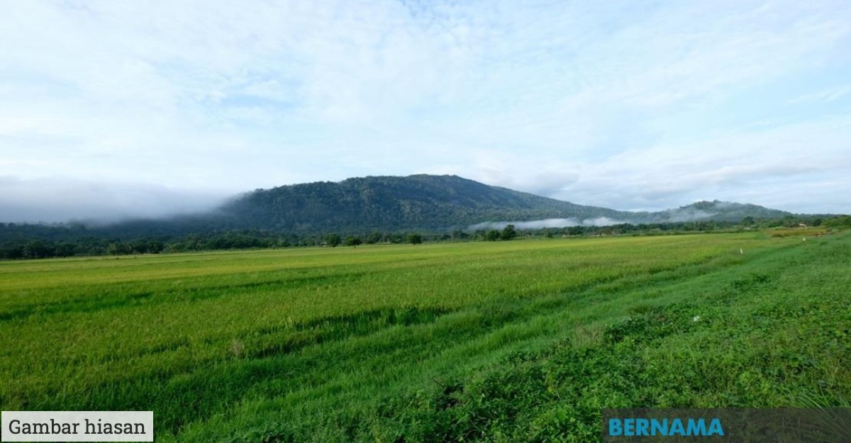 Kenapa Ada Bayi Tak Suka Pijak Rumput? Bukan Saja-saja, Rupanya Ini ...