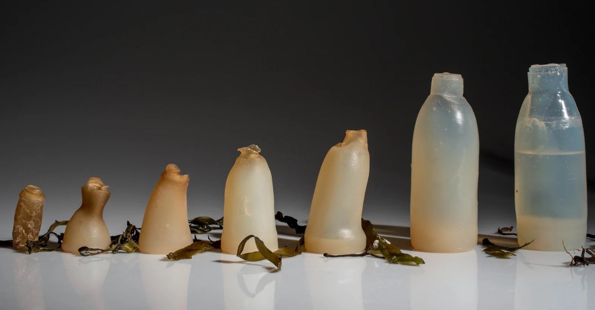 "Mula Reput Lepas Habis Diminum", Pelajar Cipta Botol Mesra Alam ...