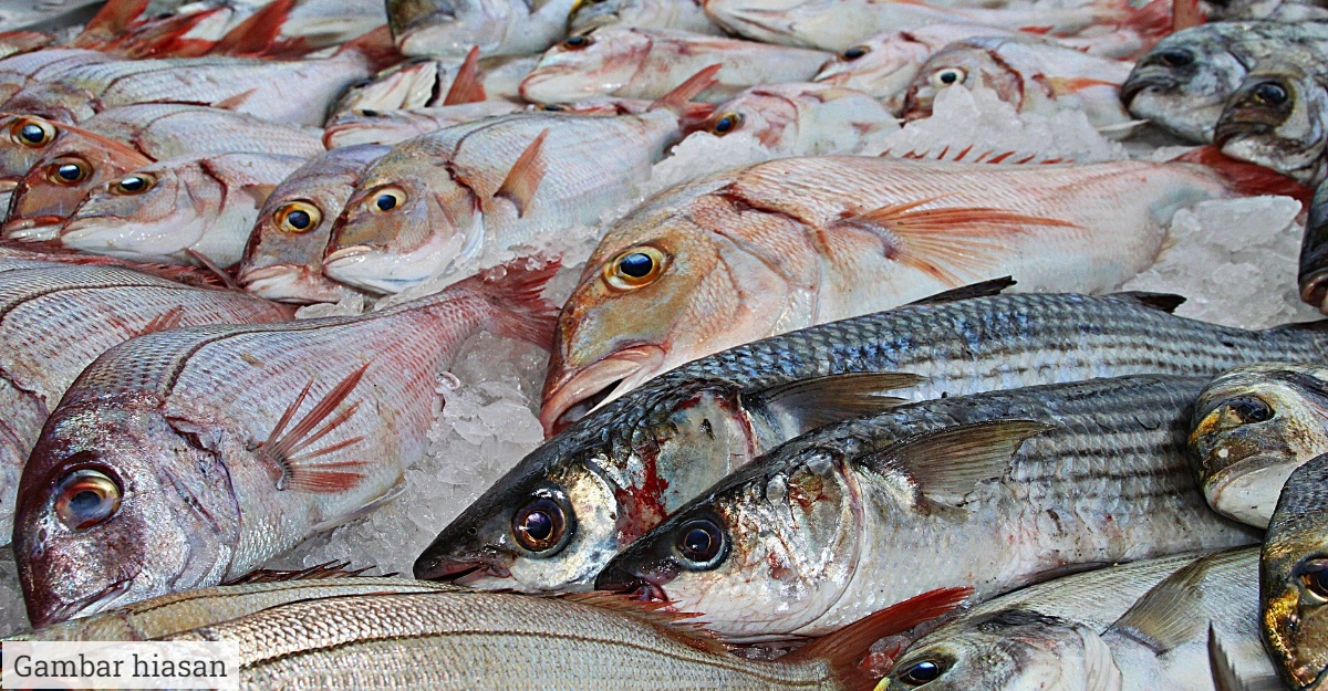Bukan Setakat Tengok Warna Mata, Ini 6 Cara Pilih Ikan Segar Di Pasar