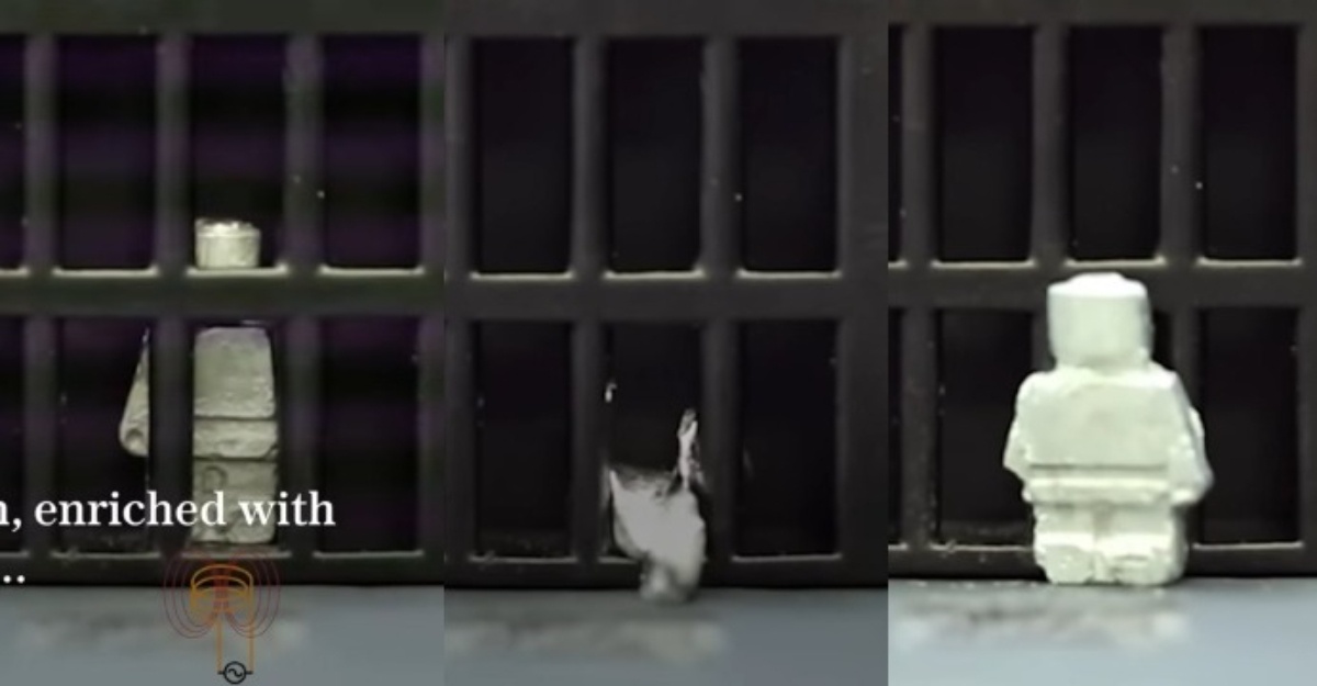 Macam Terminator, Saintis China Cipta Robot Mampu Berubah Bentuk, Boleh ...