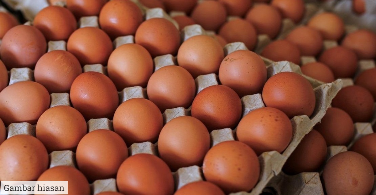 Bekalan Telur Sepanjang Ramadan, Aidilfitri Mencukupi - FAMA