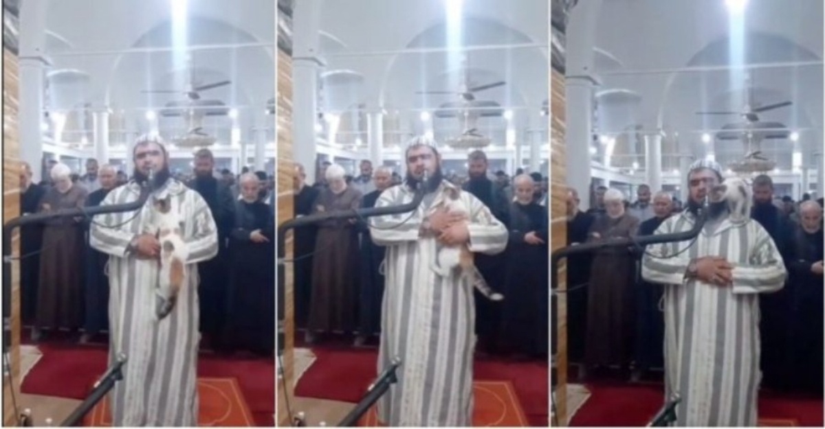 Sah Ke Solat Jika Dipanjat Dan Dijilat Kucing? Ini Jawapan Dr.Zulkifli