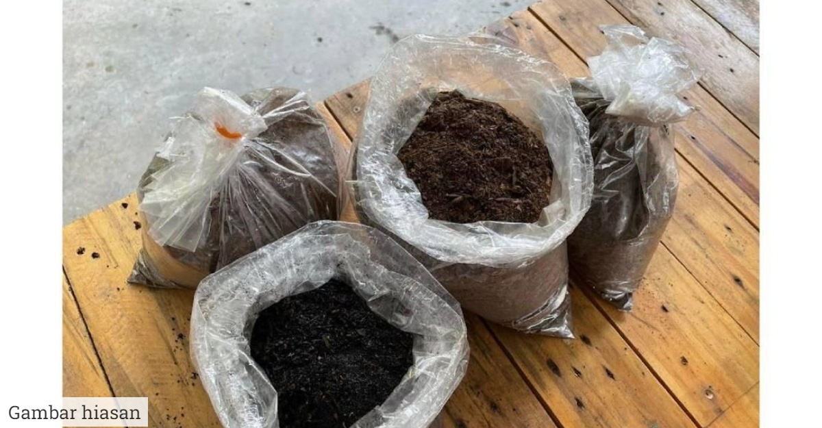 Ini Tips Pilih Baja Untuk Tanaman Agar Lebih Sihat & Subur