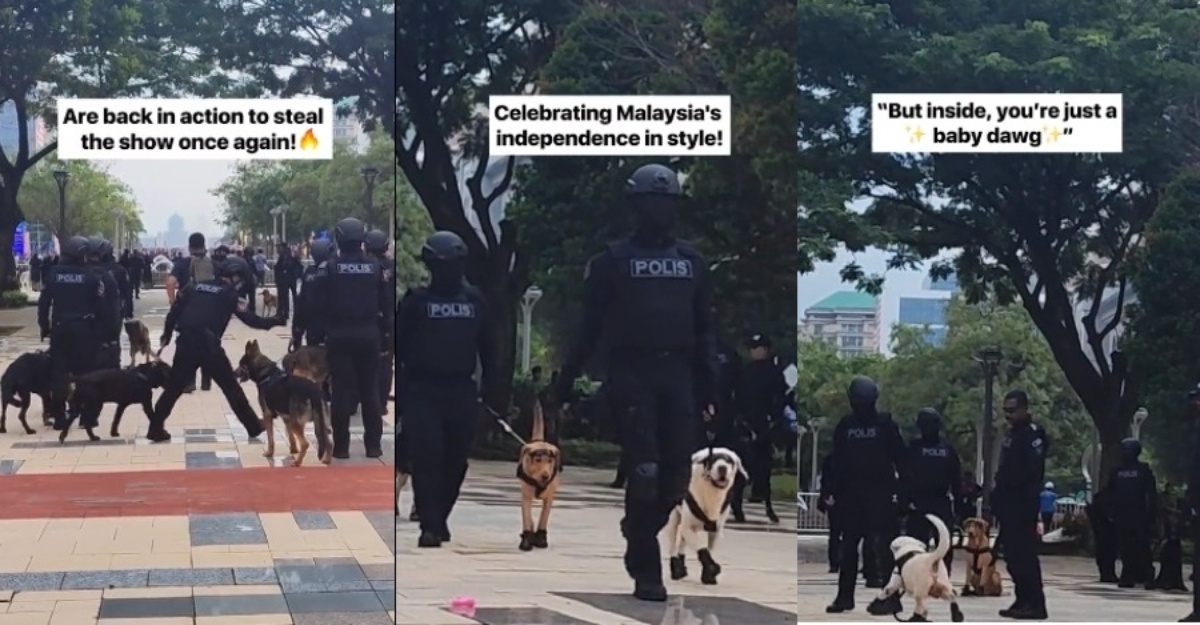 Lengkap Berkasut Dan Berkaca mata, Unit K-9 PDRM Sekali Lagi Raih Perhatian