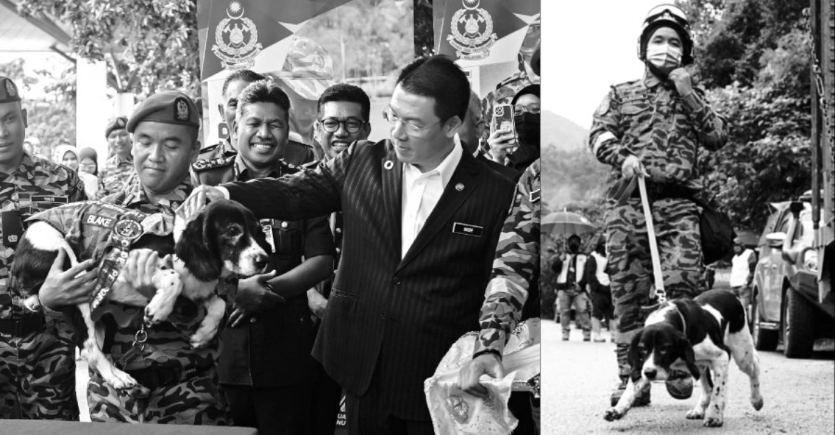 Kesihatan Merosot Akibat Barah Lymphoma, Anjing Pengesan Bernama Blake ...