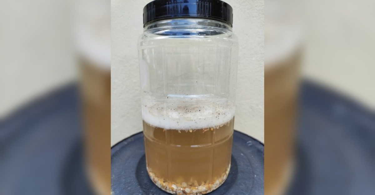 Pati Baja Kulit Telur, Resipi Untuk Membantu Kelekatan Bunga