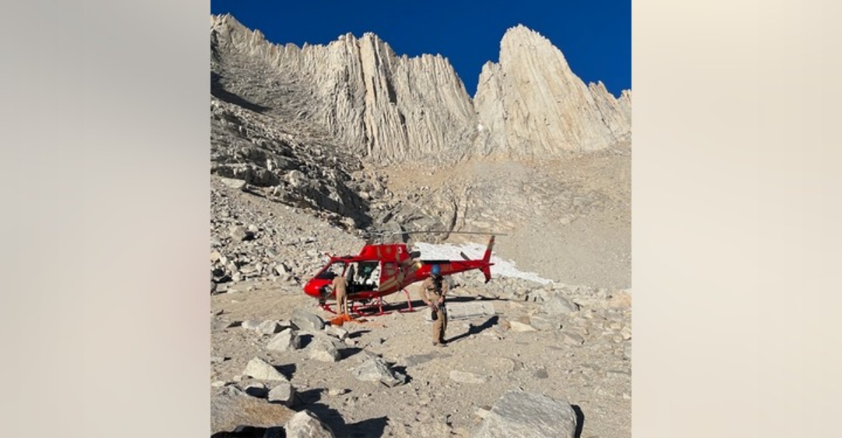 Terjatuh Pada Ketinggian 1,000 Kaki, Juruterbang Air France Maut Ketika ...