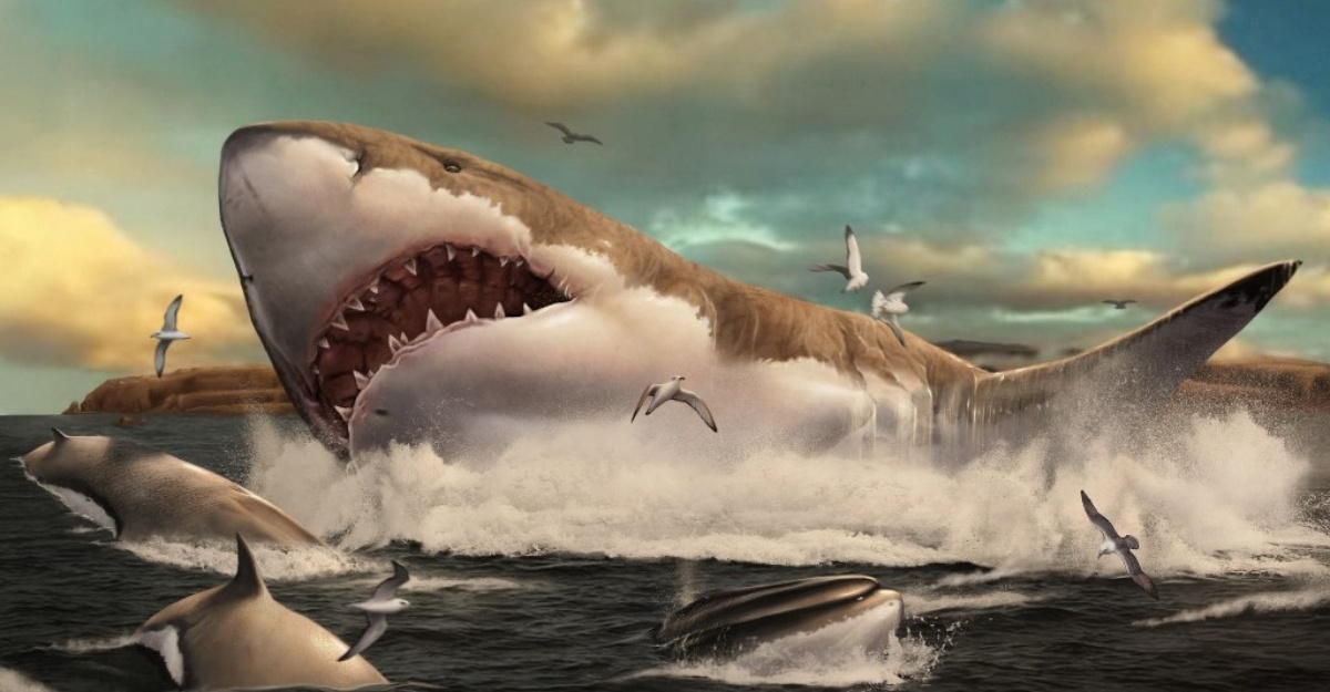 Ingatkan Besar Macam Raksasa, Rupanya Megalodon Lebih Langsing & Kurus ...