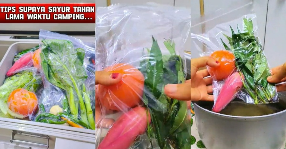Cara Mudah Simpan Sayur, Tahan Lama & Senang Nak Bawa “Camping”