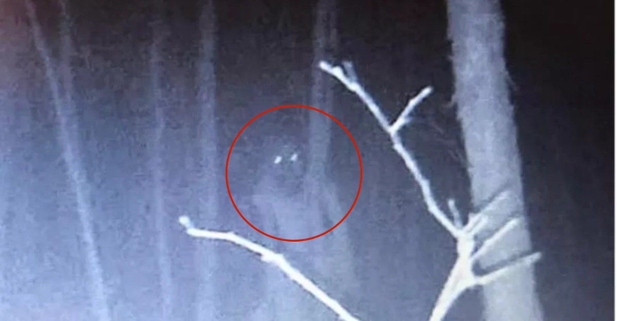 Kelibat 'Entiti' Muncul Di CCTV Tuai Perhatian Ramai