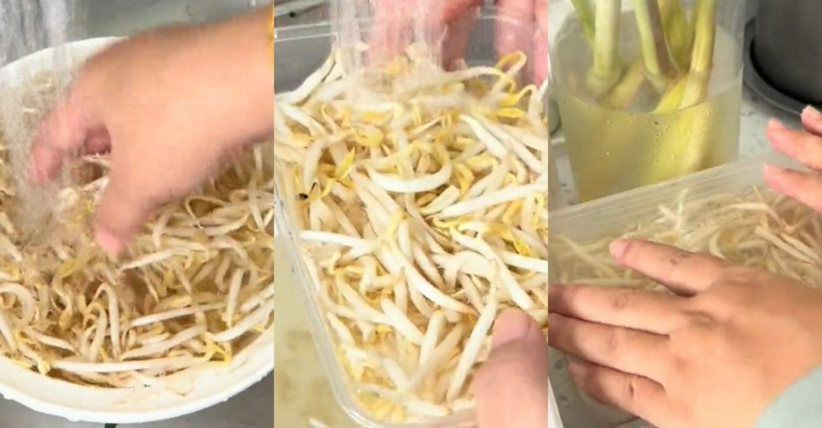 Wanita Simpan Taugeh Guna Cara Ini, Tak Sangka Tahan Sampai Sebulan