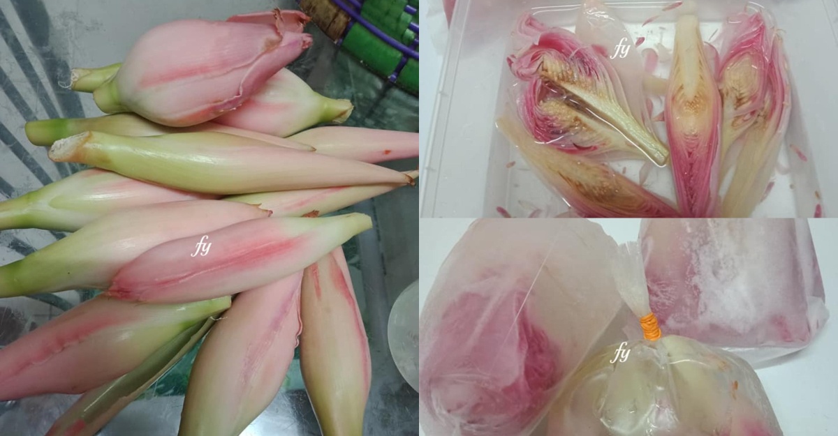 Tahan Hingga 6 Bulan, Ini Tip Simpan Bunga Kantan