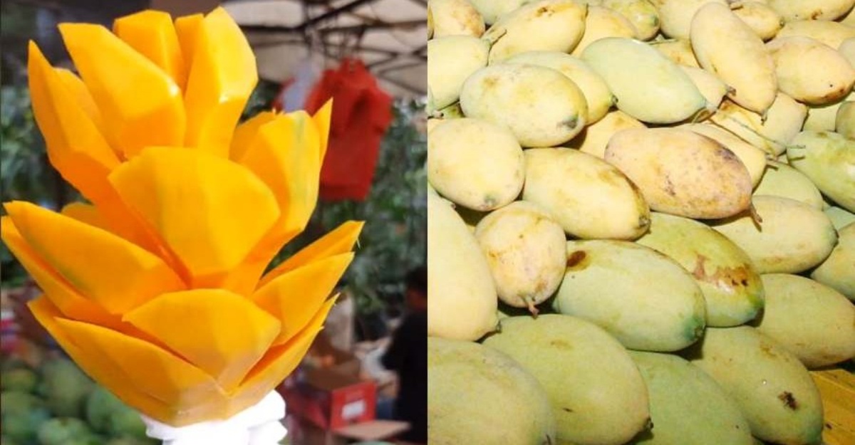 Berbentuk Seperti Bunga, Rupa-rupanya Ni Cara Unik Kupas Mangga