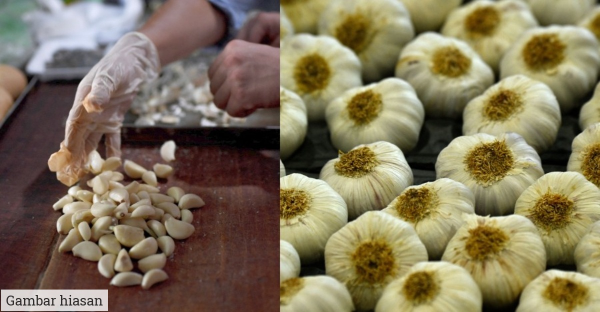 Cara Potong Bawang Putih Boleh Buat Masakan Rasa Berbeza? Ini Penjelasannya