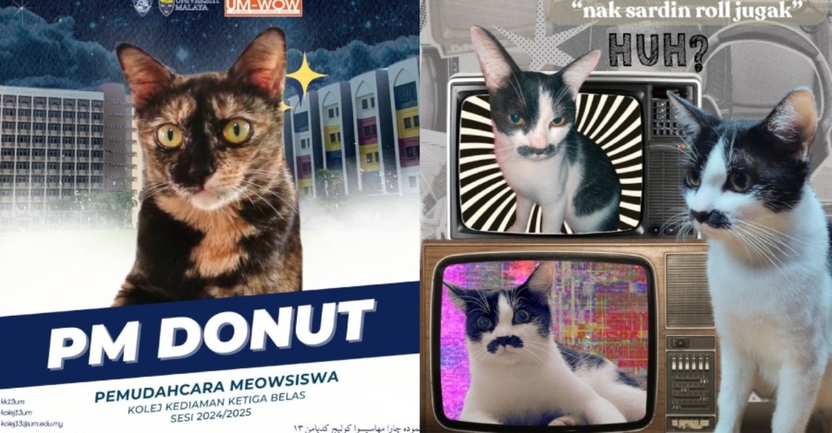 Bermisai & Berceloreng, Dua Kucing Dipilih Jadi 'Fasi' Di UM