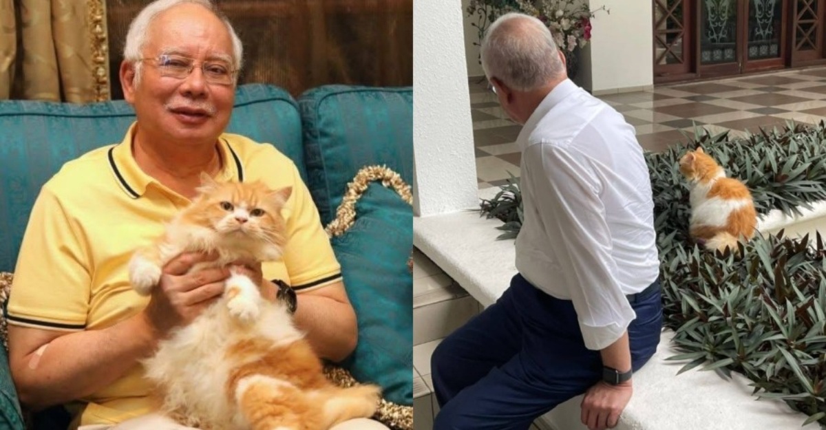 "Rehatlah Kiky," Kucing Najib Razak Sudah Tiada