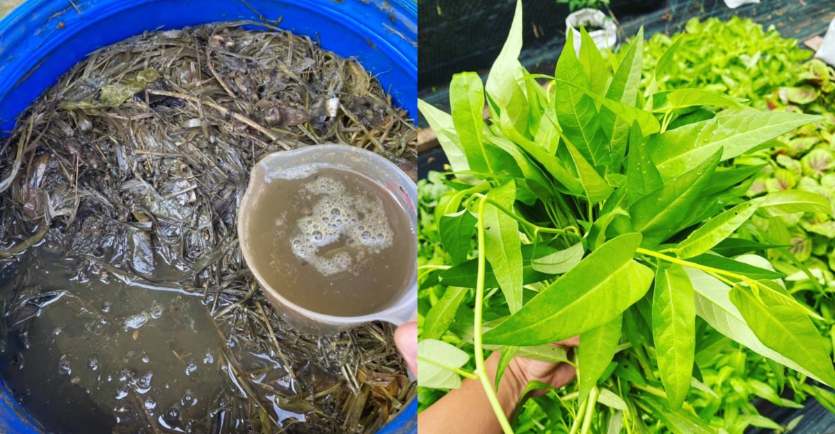 Resepi Baja Subur Buat Sendiri, Kos Hampir Percuma!