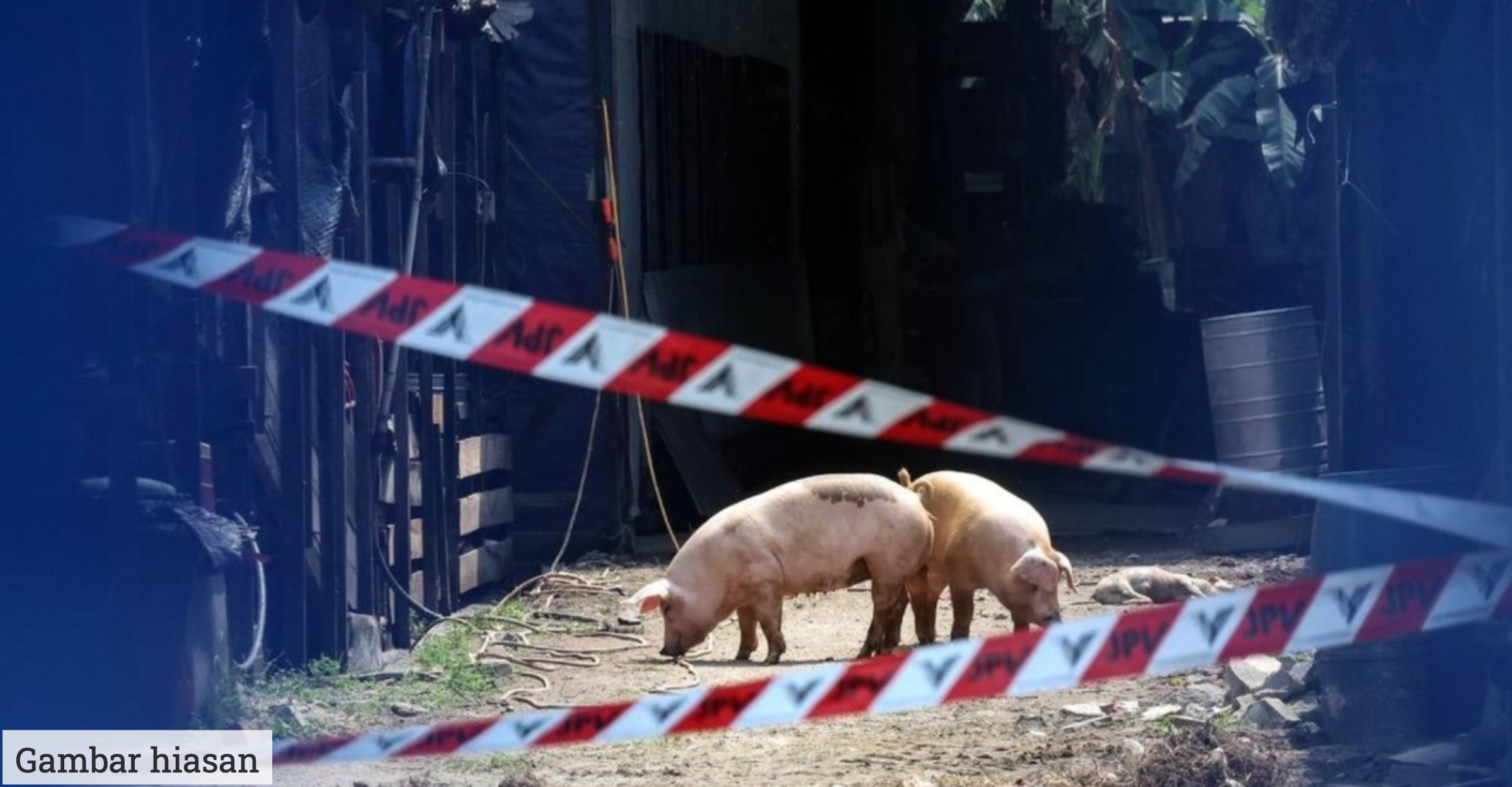 Bahagian Dakwah JAKIM Perjelas Sebab Islam Jauhi Babi